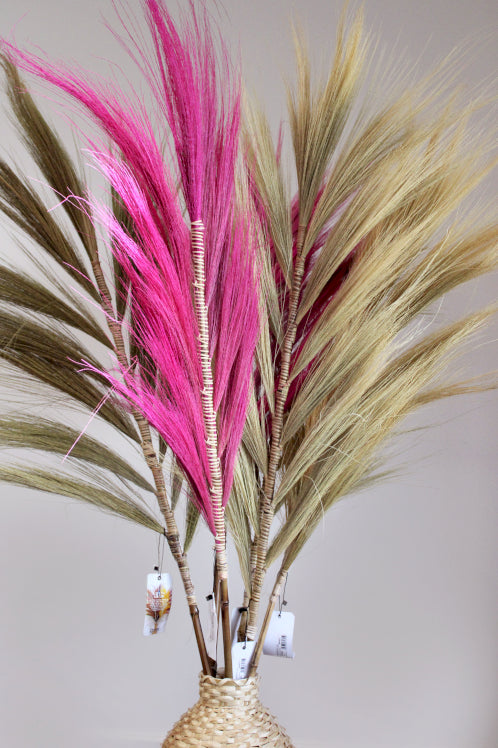 Large Rayung Dried Grass Displays in Variety of Colours– Clumzy